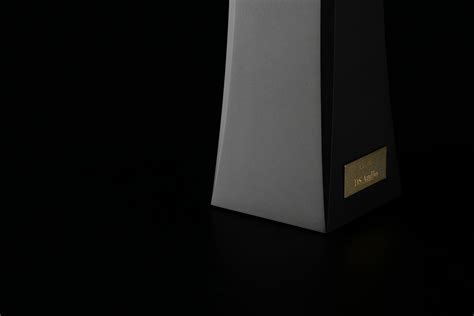 ION 001 Vinyl Ionizer DS AudioCreating The Future Of Analog Music