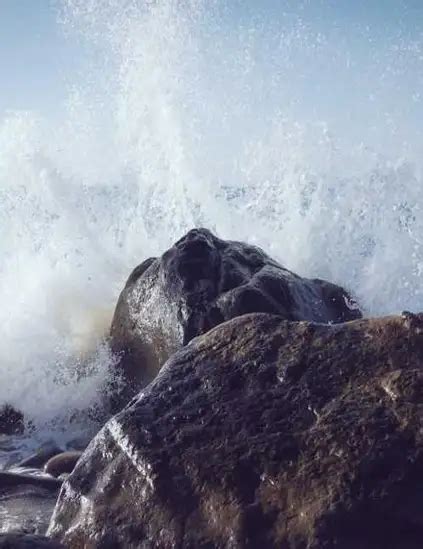 코막힘 해소를 위한 비강 세척 방법 실보로