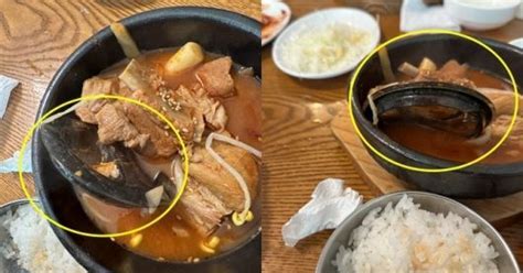 갈비찜에서 배수구 뚜껑 나왔는데…시정명령에 그친 이유