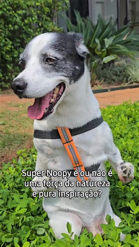 Não Me Canso De Te Admirar E De Me Sentir Inspirada Por Essa Sua Força