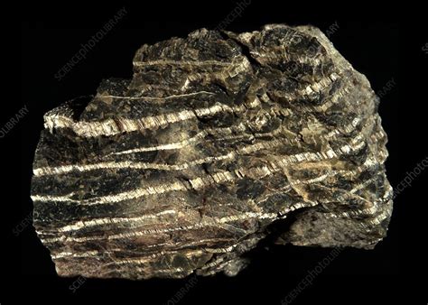 Serpentinite Metamorphic Rock