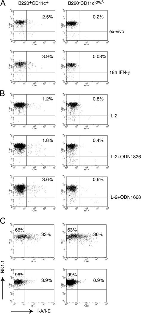 Mhc Class Ii Expression In Nk Cells Sorted From The Spleen And Lymph