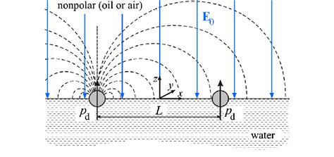 Sketch Of Two Uncharged Dielectric Particles Attached To The Download Scientific Diagram
