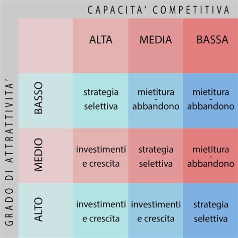 BORN TO SUCCEED LE MATRICI NEL MARKETING STRATEGICO
