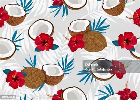코코넛 과일 원활한 패턴 전체 와 회색 배경에 파란색 잎 조각 여름 배경입니다 열대 과일 벡터 일러스트레이션 패턴에 대한 스톡 벡터 아트 및 기타 이미지 Istock