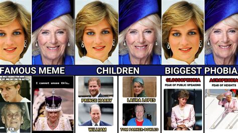 Princess Diana Vs Queen Camilla Youtube