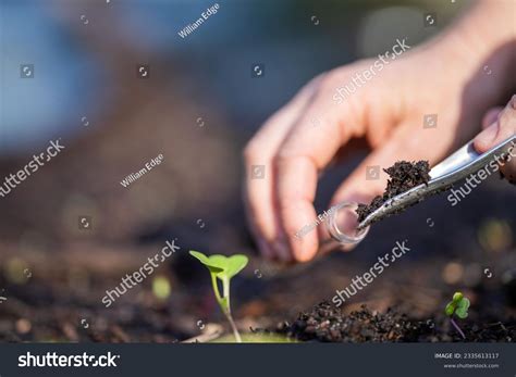 Taking Soil Sample Soil Test Field Stock Photo Shutterstock