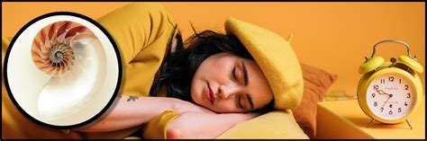 Conquer Anxiety And Embrace Serenity Your Comprehensive Guide To