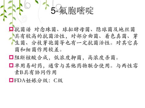 真菌药word文档在线阅读与下载无忧文档