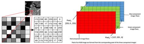 Understanding Sql Dialects A Deeper Dive Into The Linguistic Variations Of Sql By Abha Singh