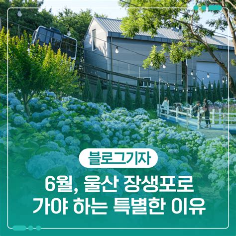 6월 울산 장생포로 가야 하는 특별한 이유 울산광역시 웰로