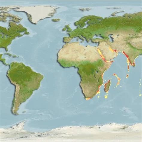 8 Reviewed Distribution Maps For Tursiops Aduncus Indo Pacific