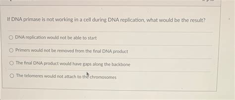 Solved If Dna Primase Is Not Working In A Cell During Dna