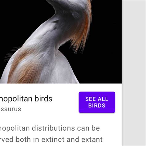 Material Design