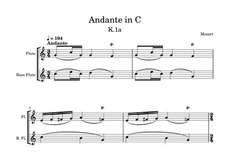 Andante In C For Flute And Bass Flute Duet Arr Kin Leung By Mozart