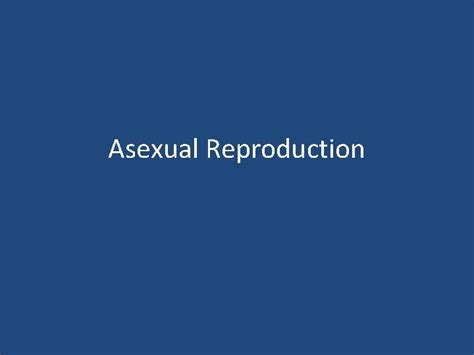 Asexual Reproduction Reproduction Def 1 The Production Of