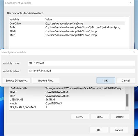 Configure The Proxy With System Wide Environment Variables