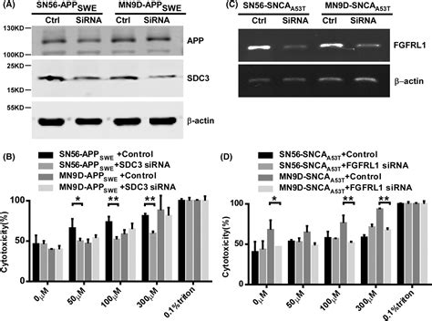 Distinct Effects Of Sdc3 And Fgfrl1 On Selective Neurodegeneration In