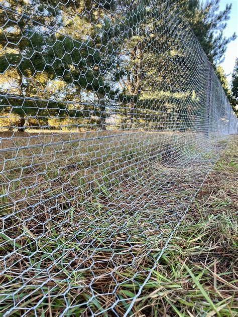 Hex Wire Netting 38mm Multi Strand Bayonet