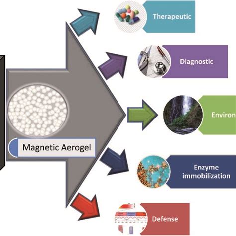 Schematic Representation Of The Synthetic Procedure Of Biocatalyst