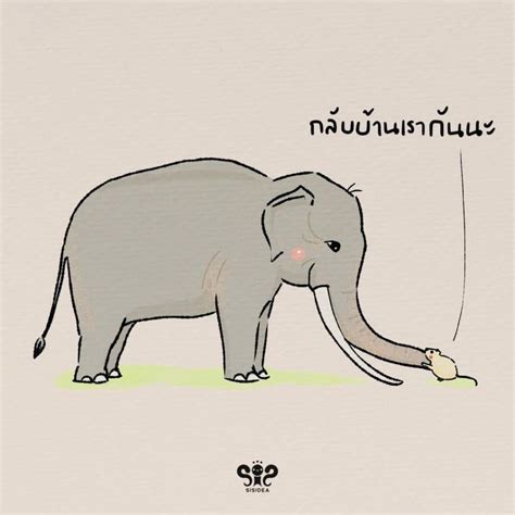 หนูนา” เผย พลายศักดิ์สุรินทร์” จะแข็งแรงเต็มร้อย คงต้องรักษาที่