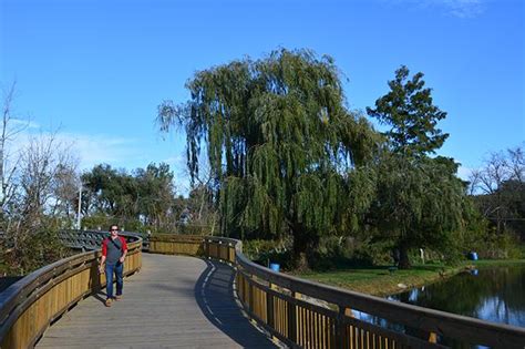 Jamil Bou Saab Posted On Linkedin