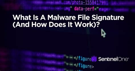 What Is A Malware Signature