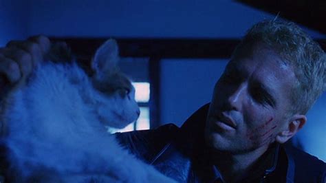 Streets 1990 Cinema Cats