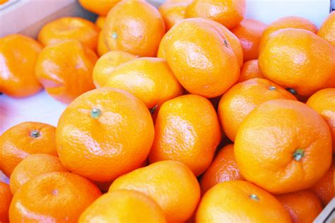 大量の蜜柑（みかん） フリー素材ドットコム
