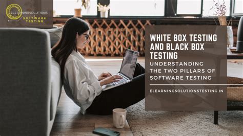 White Box Testing And Black Box Testing Elearningsolutionstesting