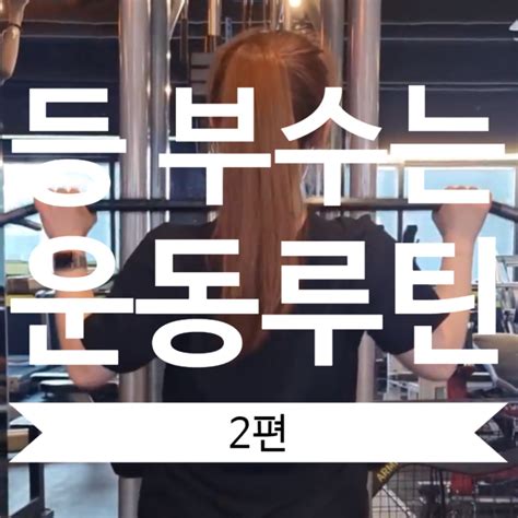 은평구 헬스장 여자 등 운동 루틴 등 뿌수기 2편 네이버 블로그
