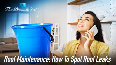 Roof Maintenance How To Spot Roof Leaks The Pinnacle List