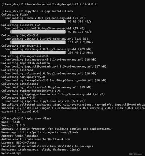 Flask Csdn