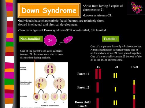 PPT DNA MUTATIONS PowerPoint Presentation Free Download ID
