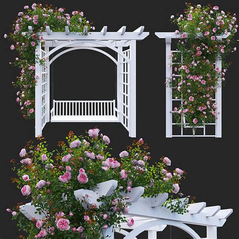 Climbing Rose Rose Swing 3D Model CGTrader