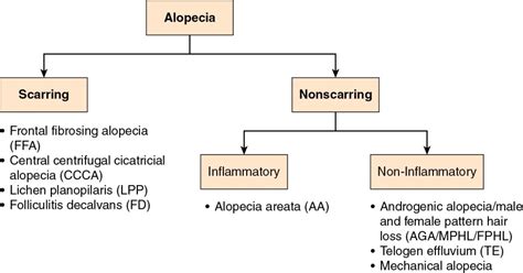 Medical Workup For Hair Loss Plastic Surgery Key