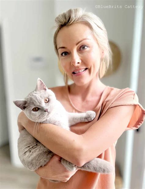 Blue Brits Cattery