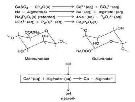 Structure Calcium Alginate 2 Download Scientific Diagram