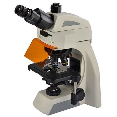 Wholesale Bs 2073ft Led Led Fluorescence Trinocular Microscope