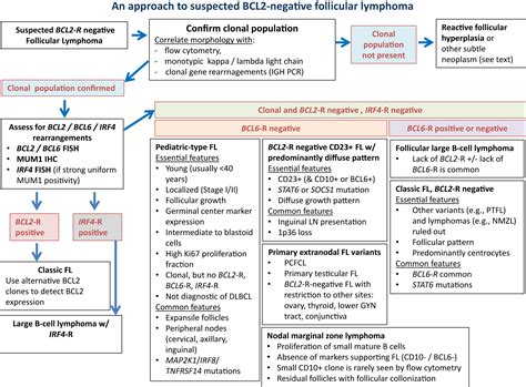 Navigating The Heterogeneity Of Follicular Lymphoma And Its Many