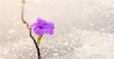 A Prayer For My Struggling Son And Bible Verses To Pray Pray With