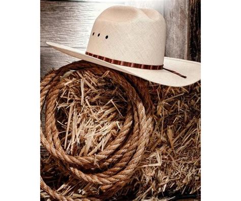 Fred James Beil Obituary 2024 Savannah Tn Shackelford Funeral Directors Of Savannah