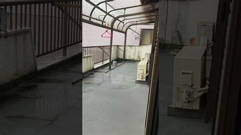 ベランダでおしっこする Youtube