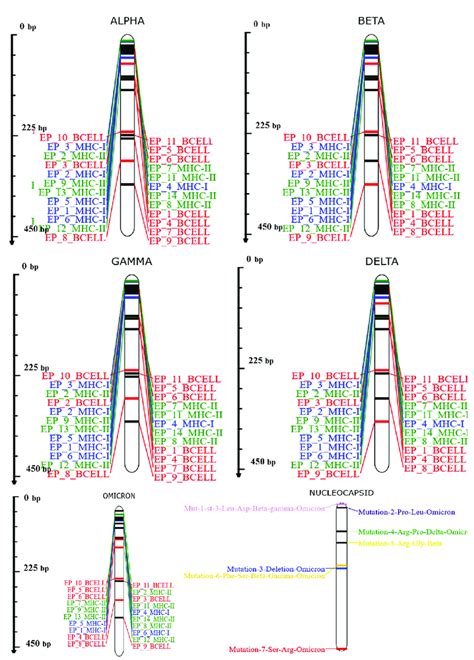 Epitope Coverage In Various Major Variants Of Sars Cov 2 Download