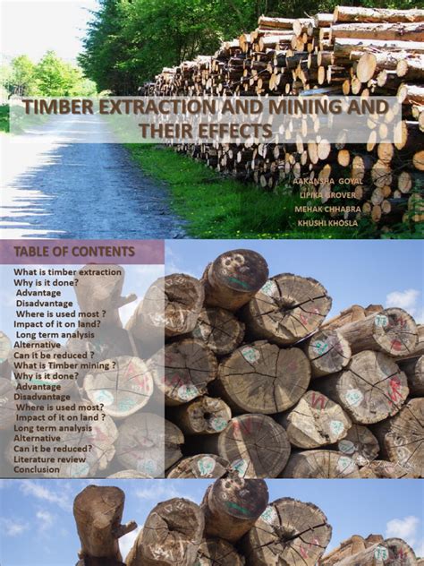 Timber Extraction And Mining And Their Effects Pdf Pdf