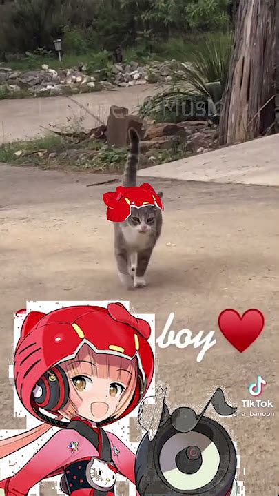 Vocaloid Nekomura Iroha Cosplay