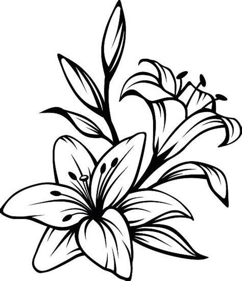 Free Clip Art Lily Flowers 10 Free Cliparts Download Images On
