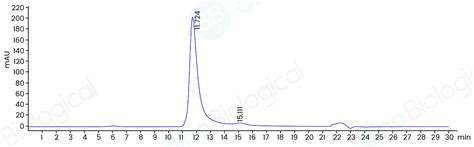 Recombinant Sars Cov 2 Coronavirus Spike Protein 40589 V08h49 Sino