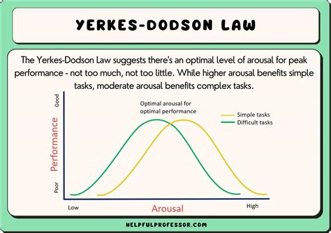Explain The Yerkes Dodson Law At Donald Cambron Blog