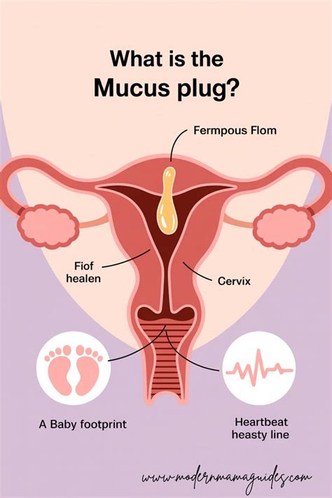 How Long Does Labor Start After Losing Mucus Plug